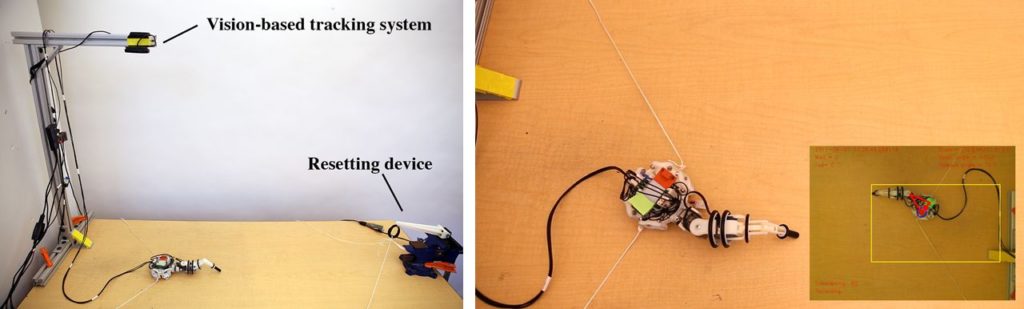 Automated Deep Reinforcement Learning Environment for Hardware of a Modular Legged Robot ...